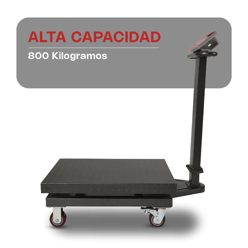 Báscula de Plataforma Plegable 800 kg – Básculas electrónicas